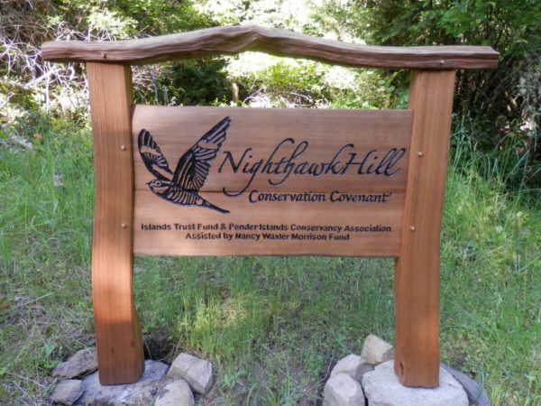 Nighthawk Conservation Sign – Thuja Wood Art – Reclaimed Cedar ...